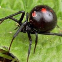 10 Fascinating Things Associated With The Night - Listverse