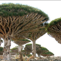 10 Of The Most Unusual Schools In The World - Listverse