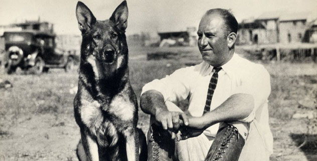 Top 10 Animal Actors - Listverse