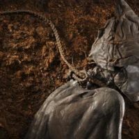 Bog Bodies: The Ancient Dead - Listverse