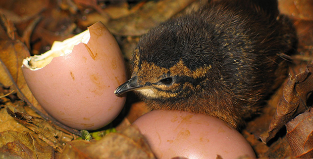 Top 10 Weird Obsessions Made Legit By Science - Listverse