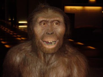 Top 10 Body Parts We Lost To Evolution - Listverse