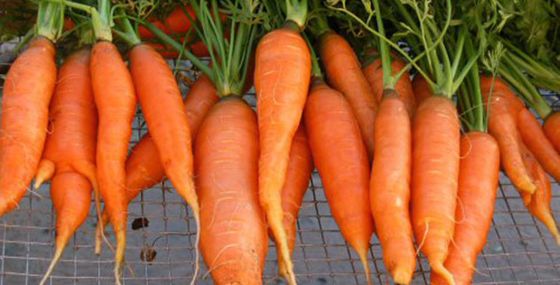 10 Ridiculous Abuses of Food - Listverse