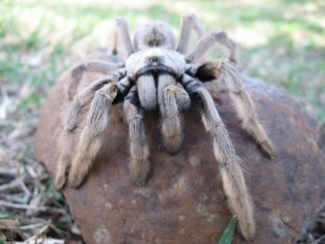 10 African Myths And Legends - Listverse