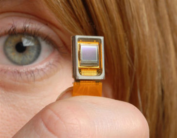 10 Smallest Things Of Their Kind In The World - Listverse