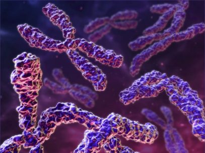 10 Weird Genetic Facts - Listverse