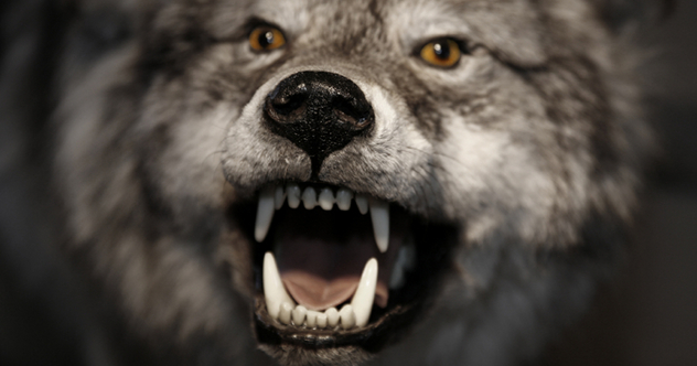 10 Eerie Amazonian Legends - Listverse