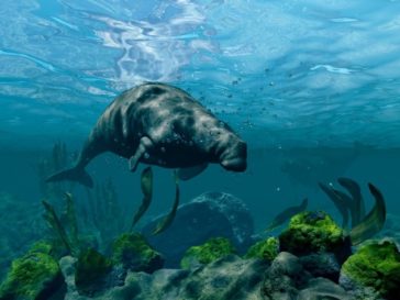 10 Extinct Animals That Science Could Bring Back From The Dead - Listverse
