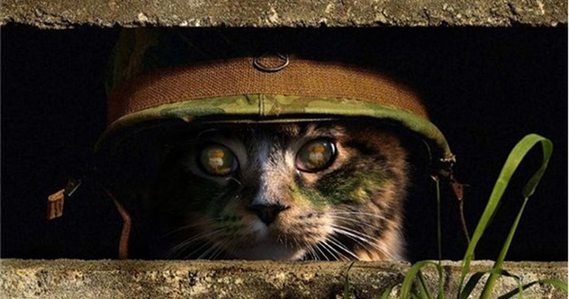 10 Insane Military Tactics That Actually Worked - Listverse