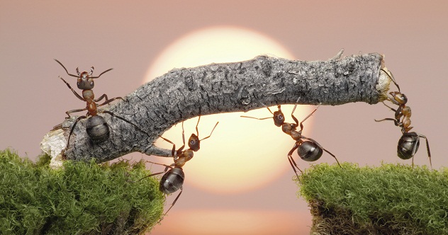 10 Surprisingly High-Tech Aspects Of Nature - Listverse