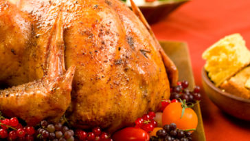 10 Engrossing Facts About Turkeys - Listverse