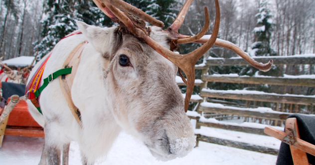 10 Reasons Life May Be A Computer Simulation - Listverse