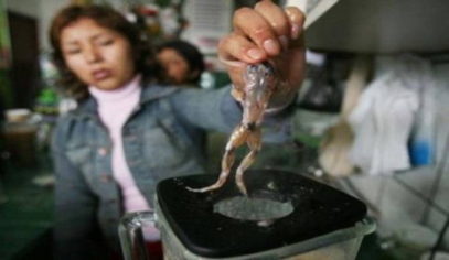 10 Of The World's Most Bizarre Beverages - Listverse