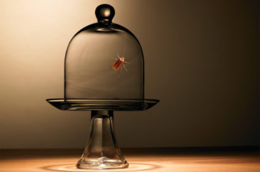 10 Extremely Strange And Unique Museums - Listverse