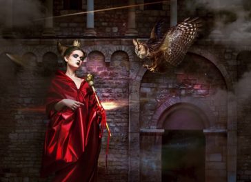 10 Truly Crazy Birds From World Mythology - Listverse