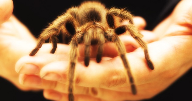 10 Disgusting Animal Habits That Will Make Your Skin Crawl - Listverse