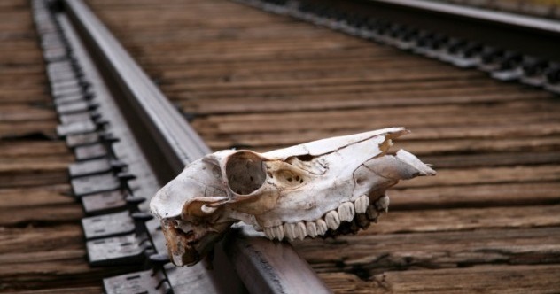 10 Dreadful Places Named For Horrifying Events - Listverse