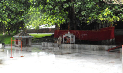 10 Fascinating Trees With Mystical Histories - Listverse