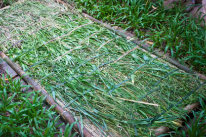 10 Fiendishly Clever Booby Traps - Listverse