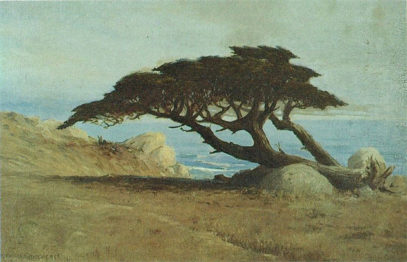 10 Fascinating Trees With Mystical Histories - Listverse