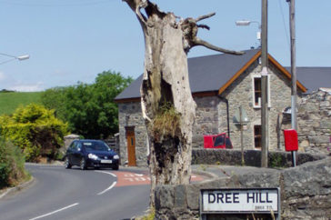 10 Fascinating Trees With Mystical Histories - Listverse