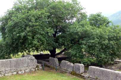 10 Amazing Legends Of Mythological Trees - Listverse