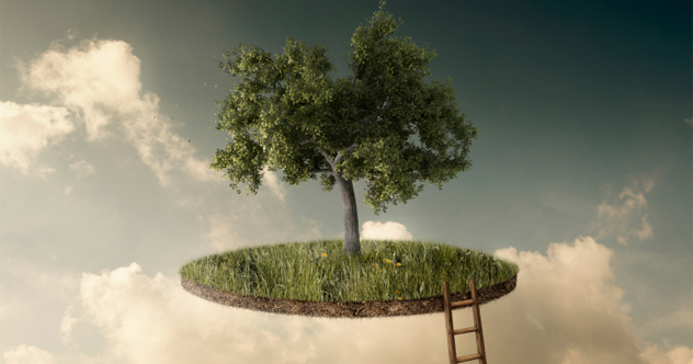 10 Fascinating Trees With Mystical Histories - Listverse