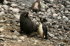 10 Completely Unsettling Animal Behaviors - Listverse