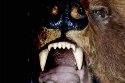 10 Eerie Native American Monsters - Listverse