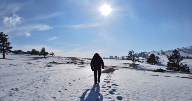 10 Bigfoot-Type Cryptids You May Not Know About - Listverse