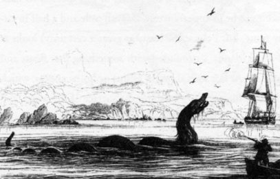 10 Sensational Sea Serpent Sightings - Listverse