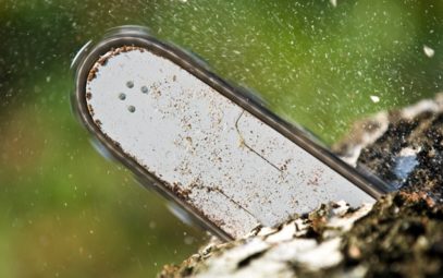 Top 10 Everyday Objects That Have Drastically Changed Through History ...