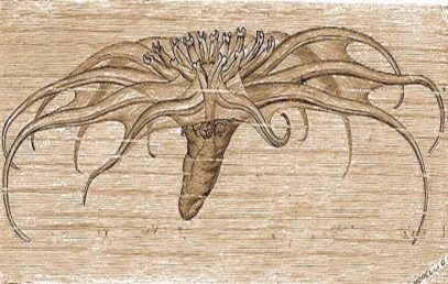 10 Creepy Deep-Sea Creatures You Never Heard Of - Listverse