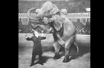 10 Secrets Behind Harry Houdini's Greatest Illusions - Listverse