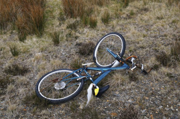 10 Ways Creepy-Crawlies Helped Solve Heinous Crimes - Listverse