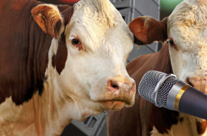 10 Weird And Untold Facts About Milk - Listverse