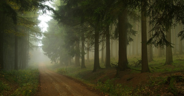 10 Mysterious Trips Into The Wilderness That Went Horribly Wrong ...