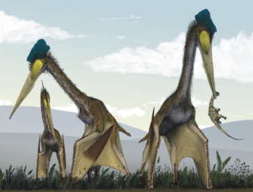10 Terrifying Flying Reptiles That Went Extinct Long Ago - Listverse