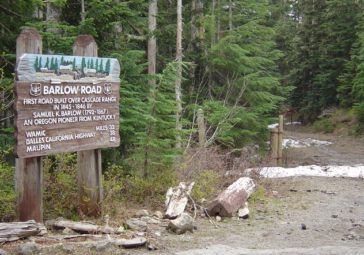 10 Fascinating Stories From The Oregon Trail - Listverse