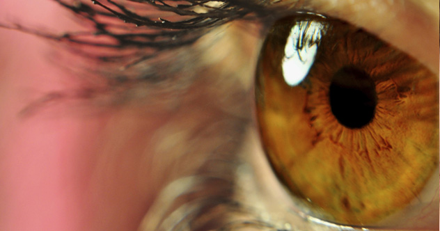 10 Curious Facts Our Eyes Reveal About Our Biology - Listverse