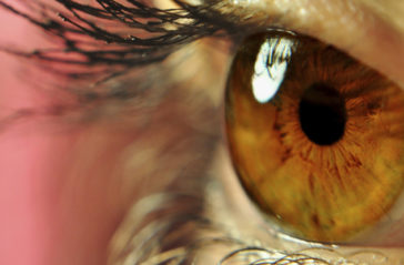 10 Curious Facts Our Eyes Reveal About Our Biology - Listverse
