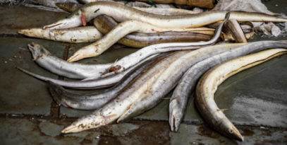 10 Bizarre Forgotten Sports From History - Listverse