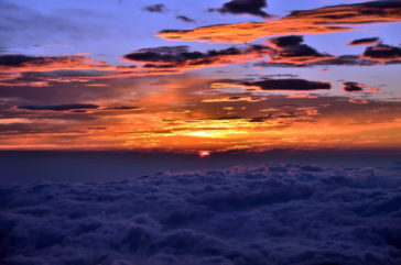 10 Incredible Firsts In The Evolution Of Life On Earth - Listverse