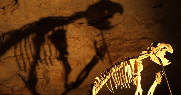 10 Real-Life Explanations For Famous Myths And Cryptids - Listverse