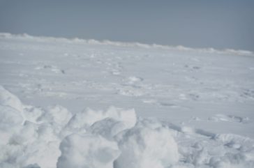 10 Incredible Survival Stories From The 19th Century - Listverse