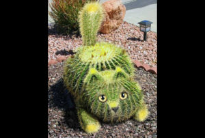 10 Strange And Mystical Cats People Believed In - Listverse