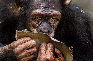 10 Paranormal Investigations And Encounters In Africa - Listverse