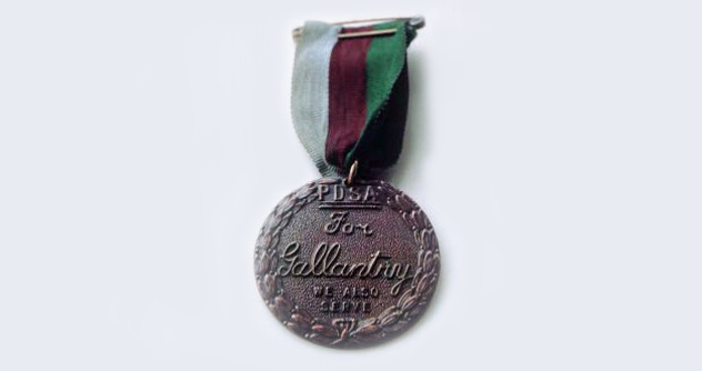 10 Amazing Animals Awarded A Medal For Bravery - Listverse