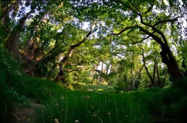 10 Forgotten Sects Of Major Religions - Listverse