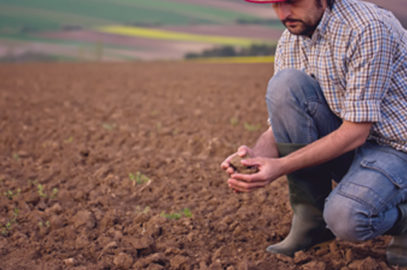 10 Environmentally Conscious Actions That Backfired In Strange Ways ...